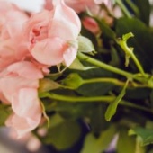 Quelle est la signification du nombre de roses dans un bouquet