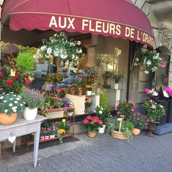 AUX FLEURS DE L'ORANGERIE | Fleuriste à Strasbourg